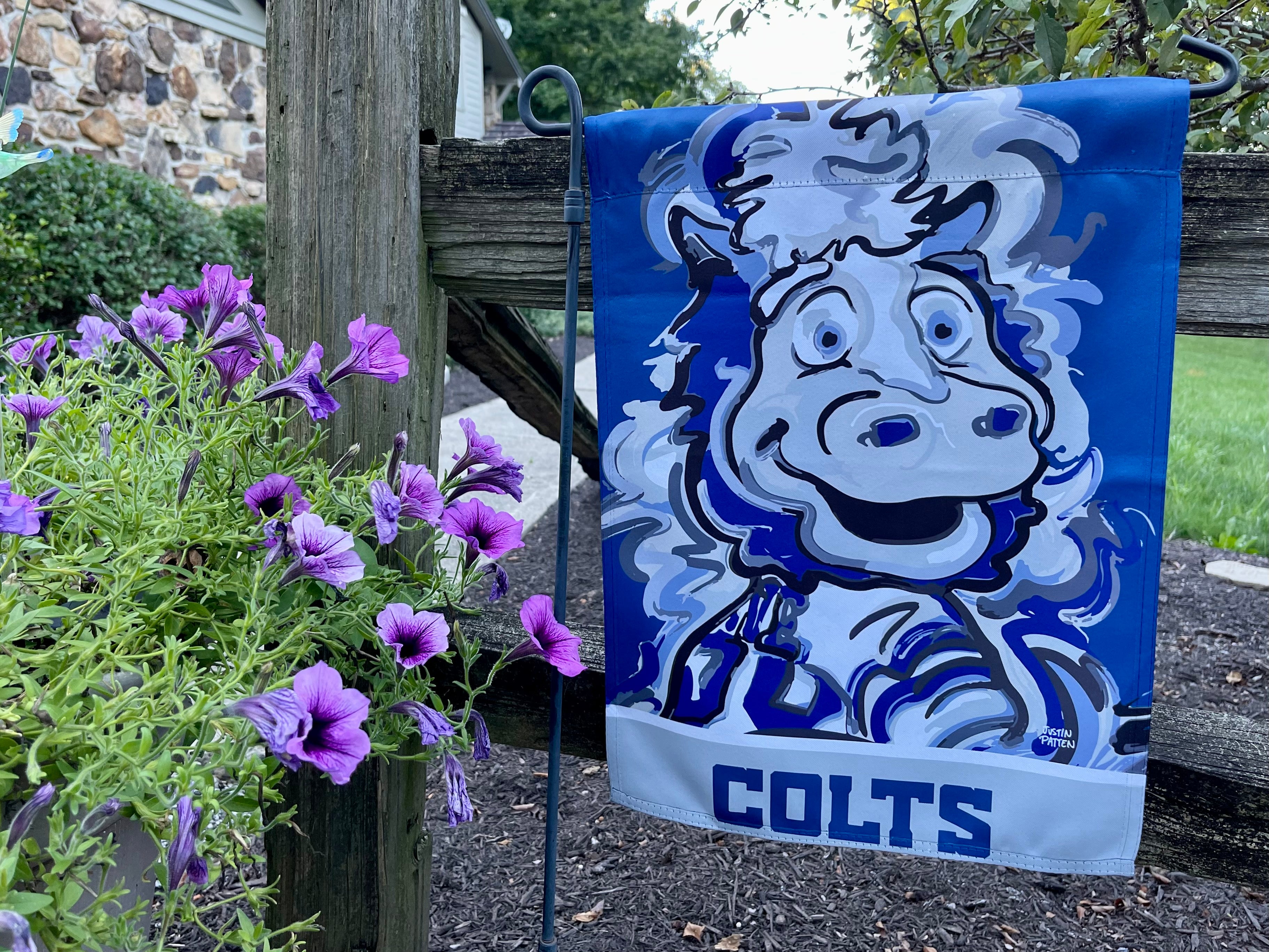 Flags – Storm Striker Art by Justin Patten